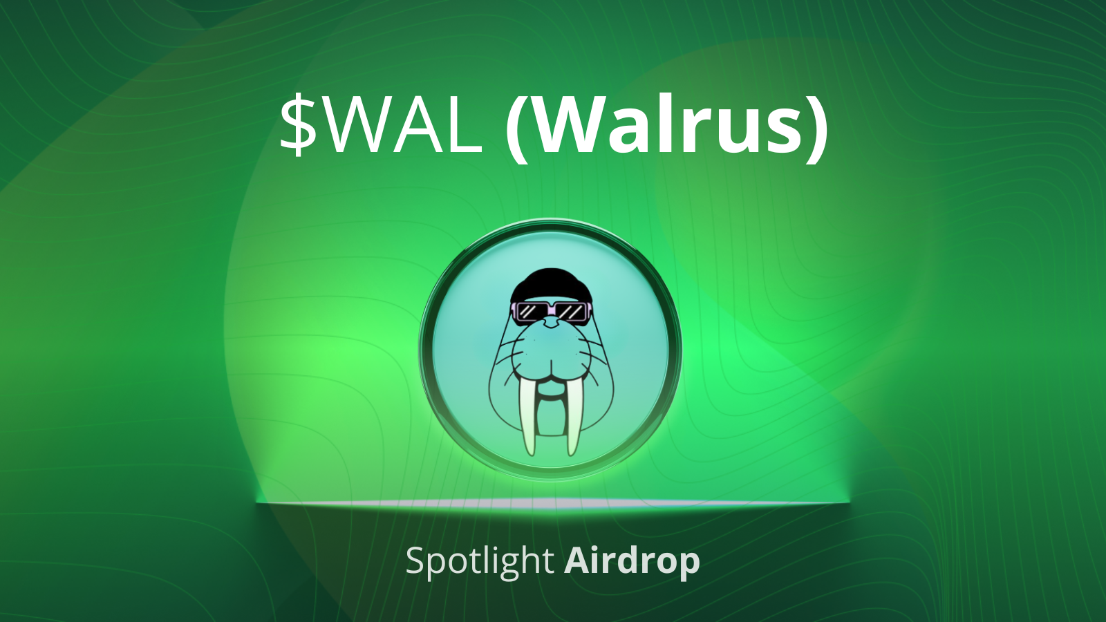 WALRUS Airdrop – Part of Our 7-Year Anniversary Celebration